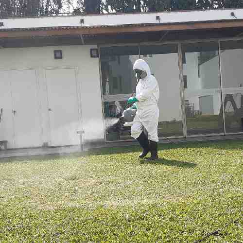 Servicio de Fumigación en Lima